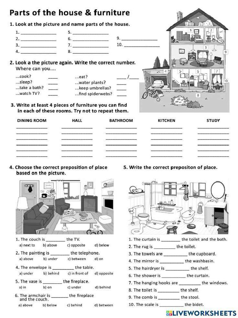Exercises Unit 8 | PDF