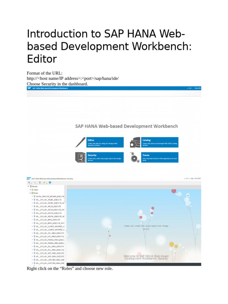 Managing Roles in SAP HANA Web IDE | PDF