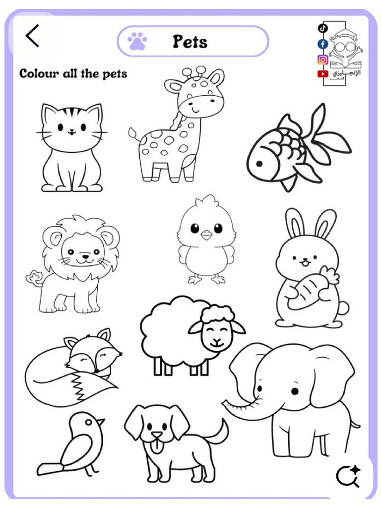 EVS Worksheet Class Nursery | PDF