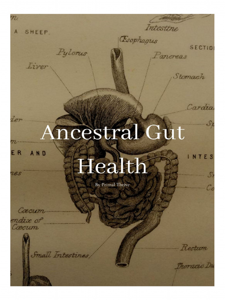 Ancestral Gut Health | PDF