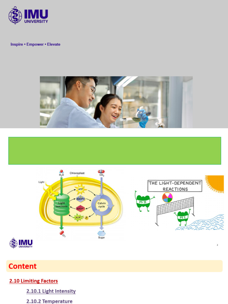 Photosynthesis 3 | PDF | Photosynthesis | Carbon Dioxide