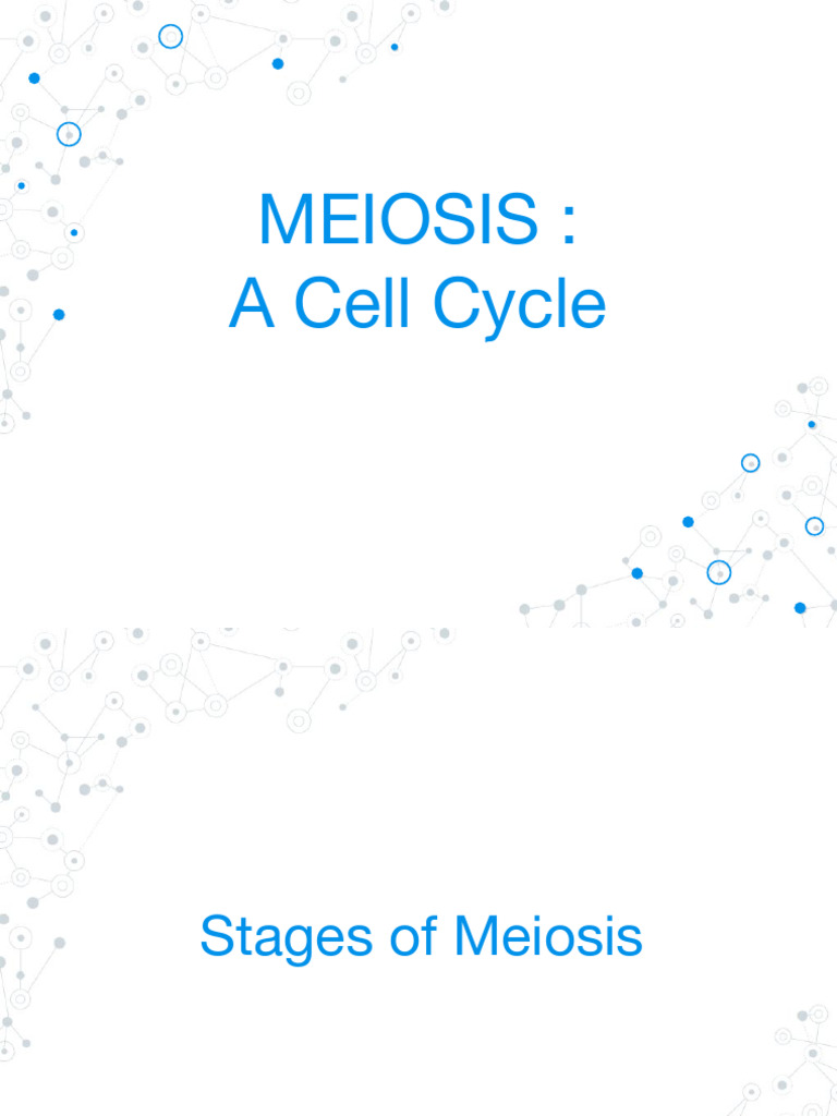 Biology Meiosis Presentation - PPTX 1 | PDF | Meiosis | Chromosome