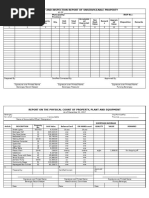 IIRUP Inventory Report Template | PDF | Business Economics | Business