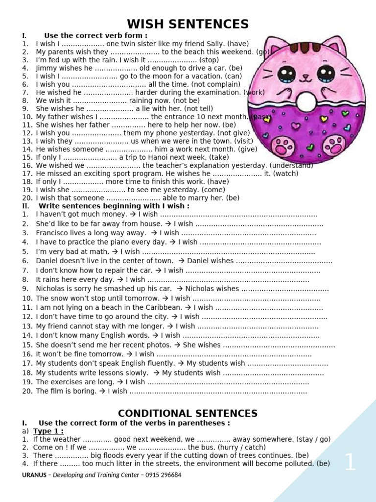 Wish and Conditional Sentences Practice | PDF