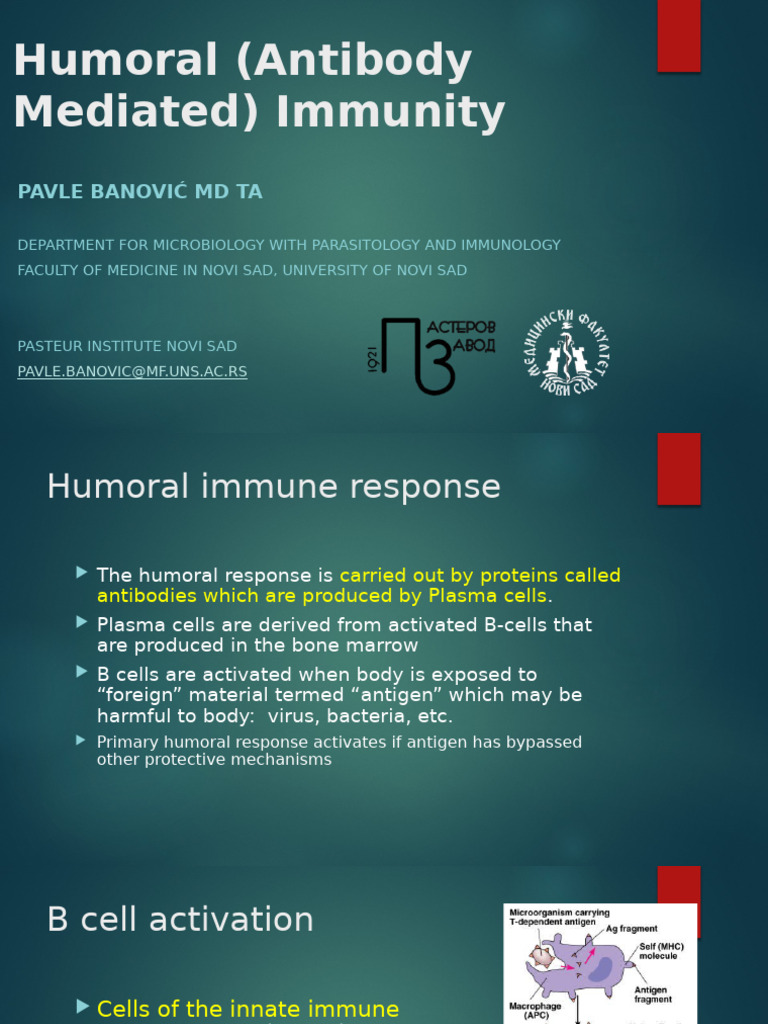 Humoral (Antibody Mediated) Immunity | PDF | Antibody | Humoral Immunity