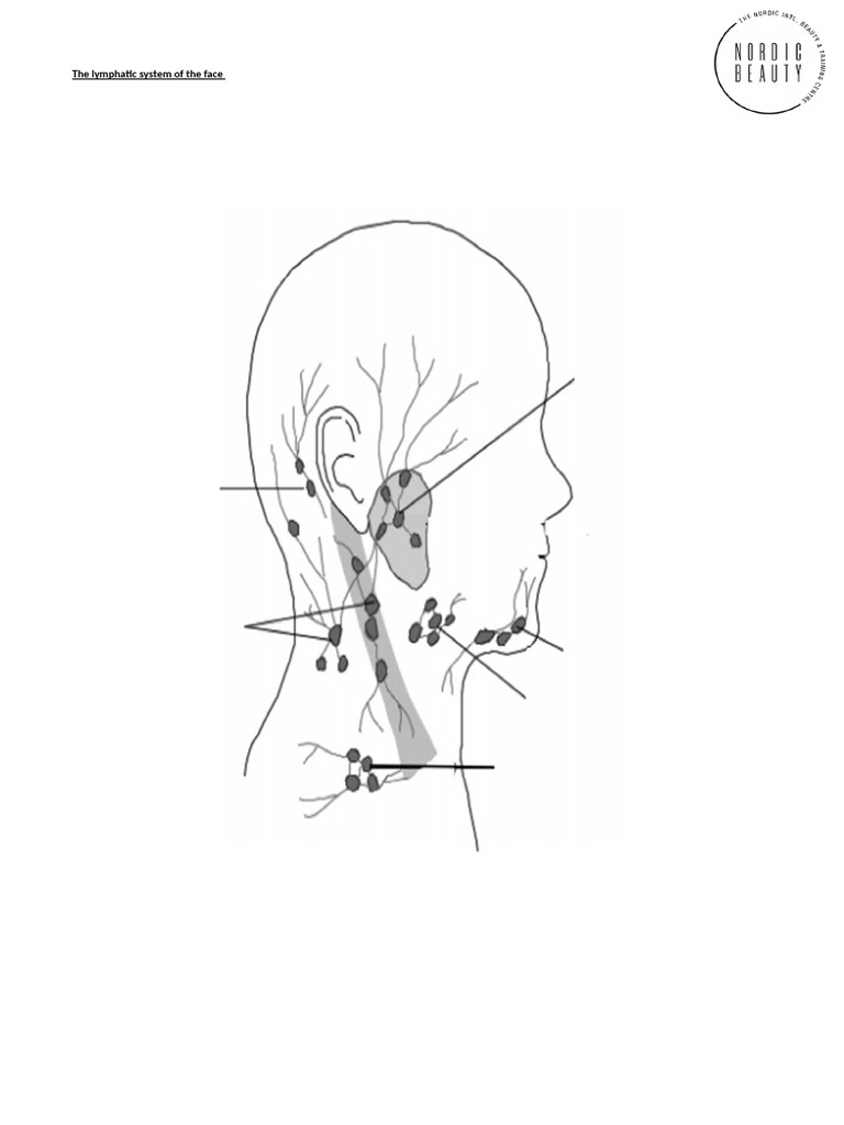 Lymph Nodes Diagram Blank | PDF