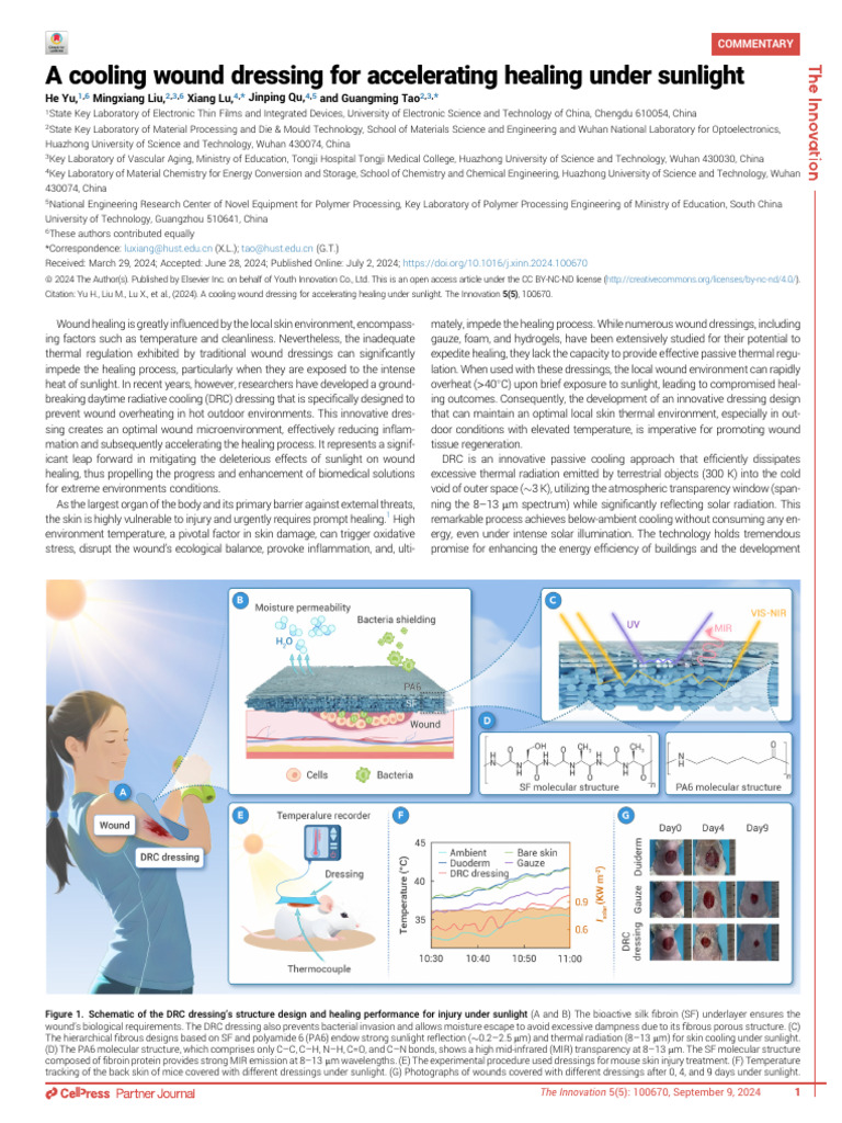 A Cooling Wound Dressing For Accelerating Healing | PDF | Wound | Infrared