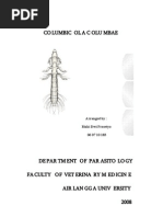 Insights on Paramphistomum Cervi | PDF