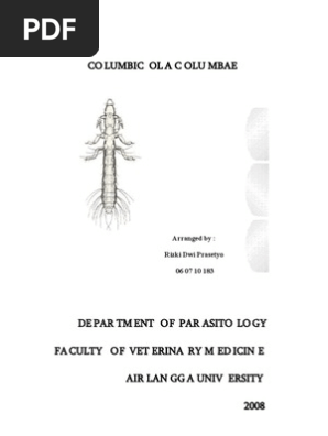 Columbicola Columbae