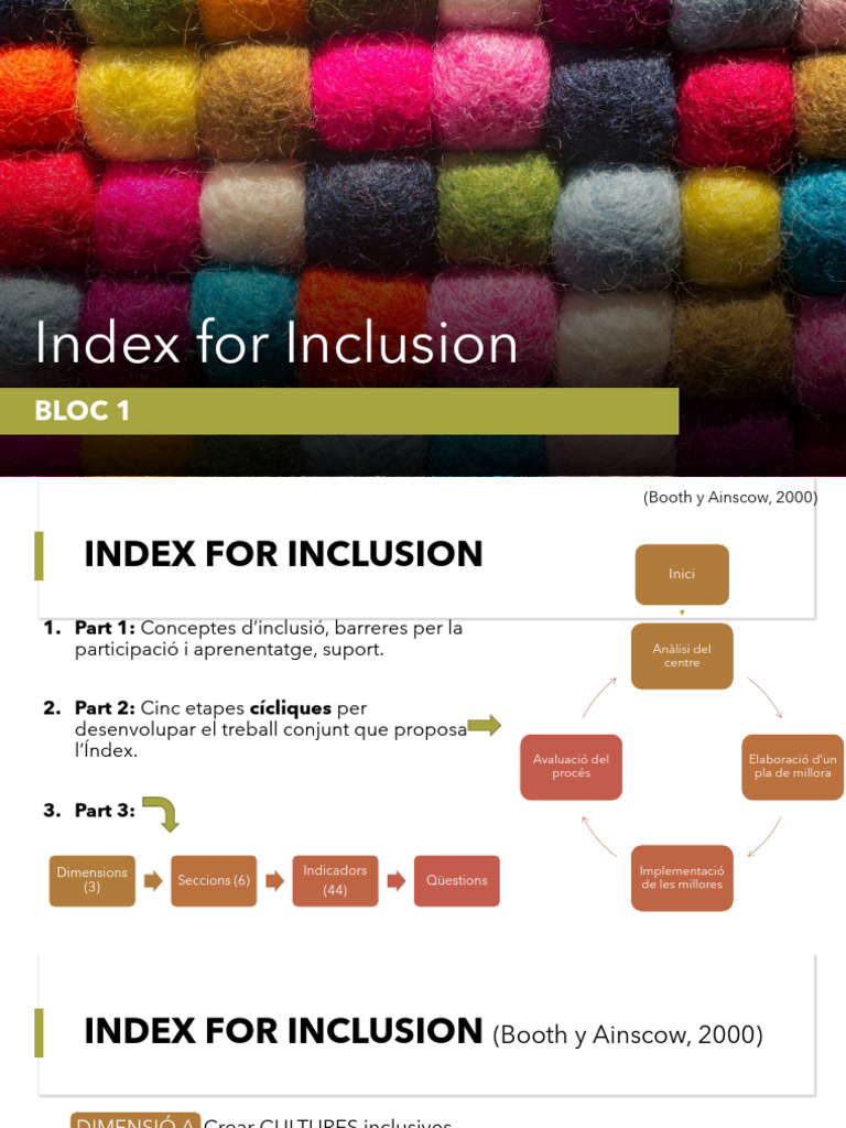 Index For Inclusion | PDF