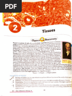 2023 NAMAS MDM Chart Office | PDF | Health Care | Medicine