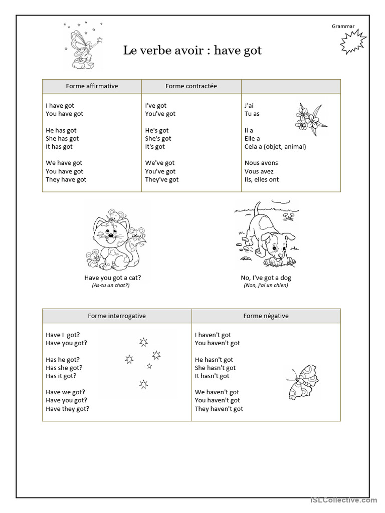 Have Got: Grammar Guide | PDF | Linguistics | Grammar