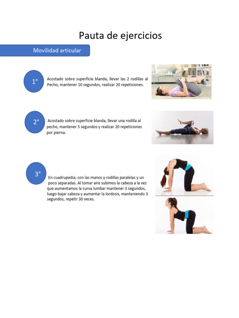 Pauta de Ejercicio ADULTO | PDF | Rodilla | Sistema musculoesquelético