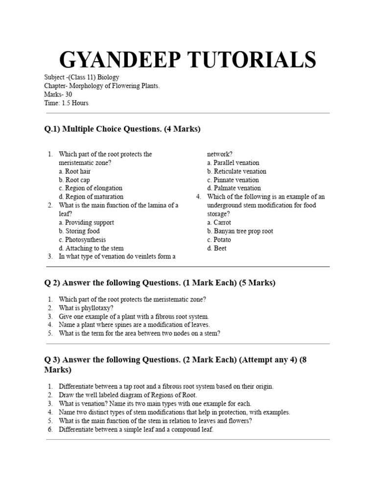 Class 11 Biology: Plant Morphology Quiz | PDF | Leaf | Root