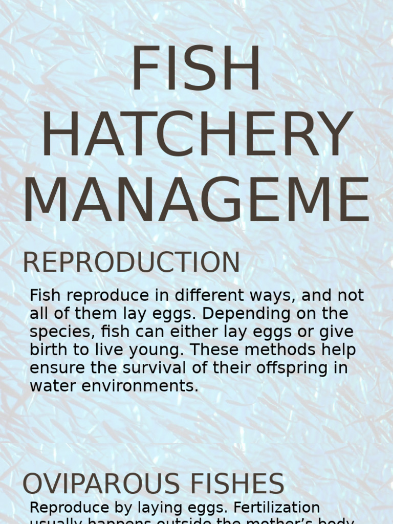 Fish Hatchery Management Overview | PDF | Reproduction | Biological ...