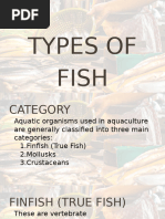 Chart For Saltwater With Tagalog Words | PDF | Language Arts ...