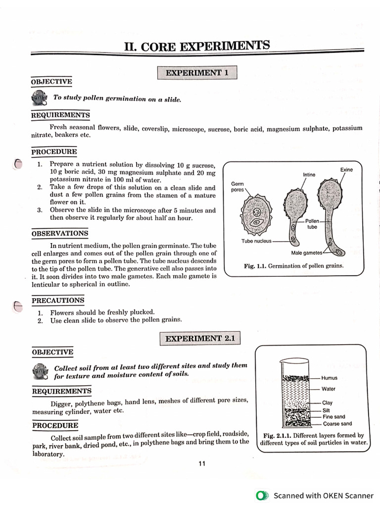 Biology Practical Work | PDF