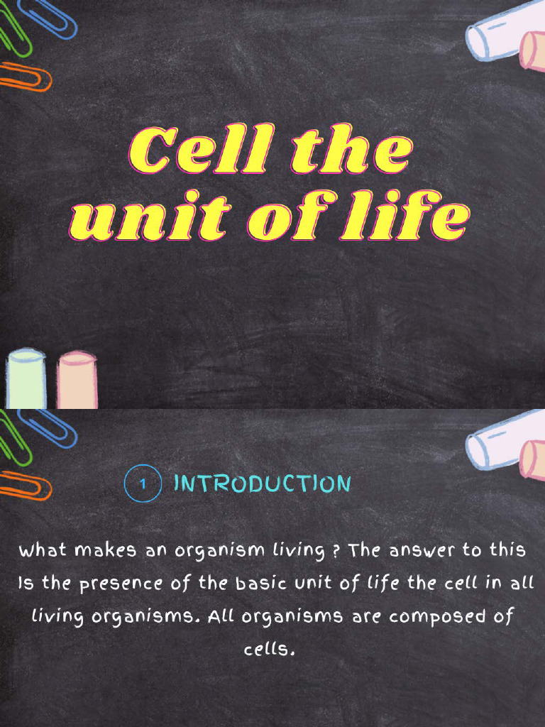 Cell Cycle and Division Explained | PDF | Meiosis | Mitosis