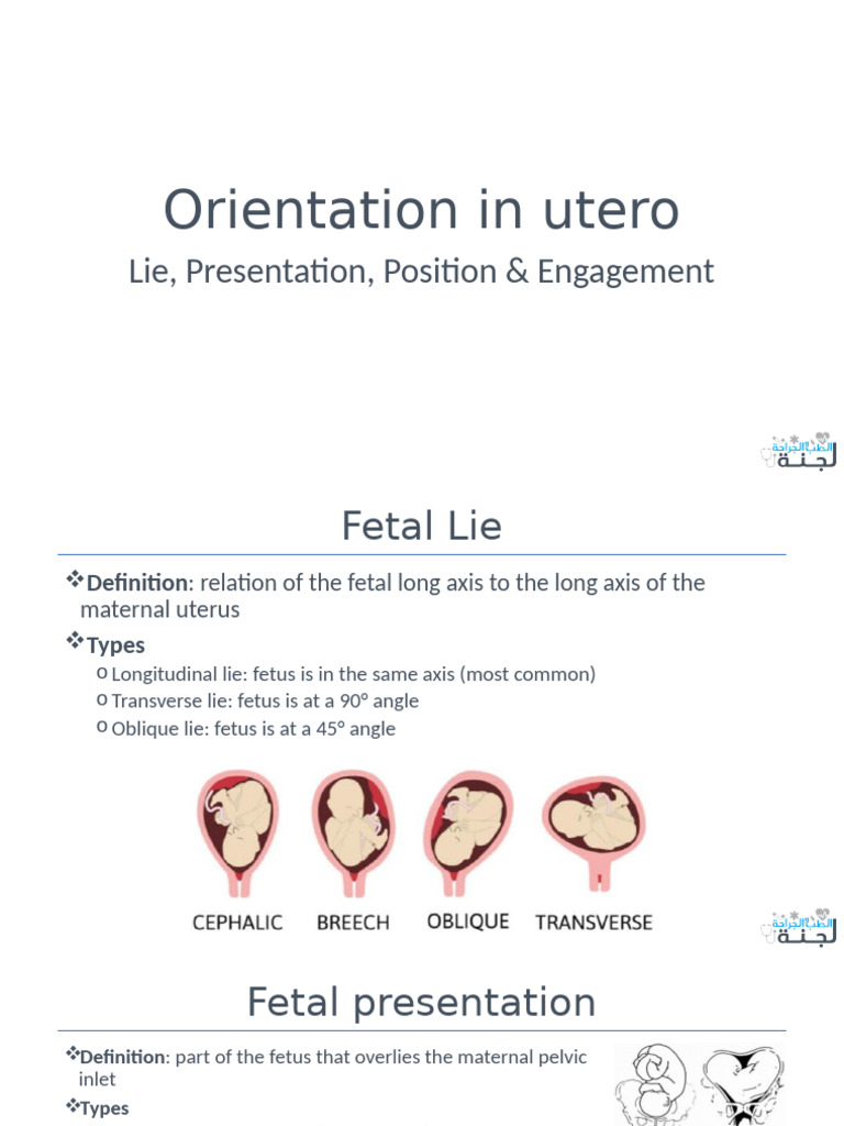 Understanding Fetal Lies and Presentations | PDF | Pelvis | Anatomical ...