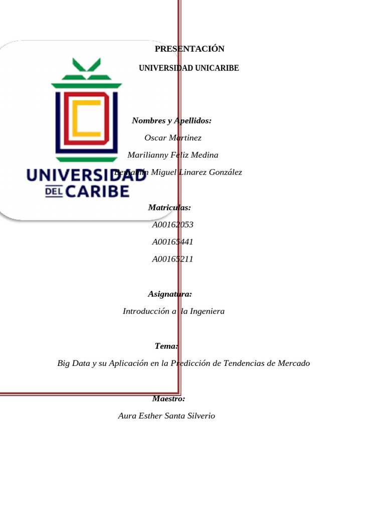 UNICARIBE Trbajo Final | PDF | Big Data | Marketing