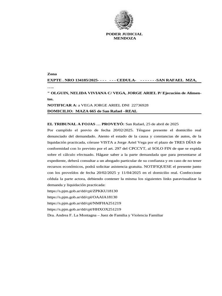 Ejecución de Alimentos: Olguín vs. Vega | PDF