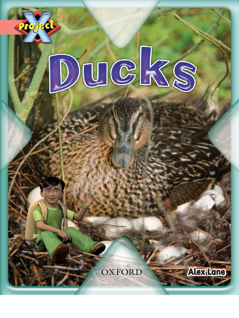 Ducks | PDF