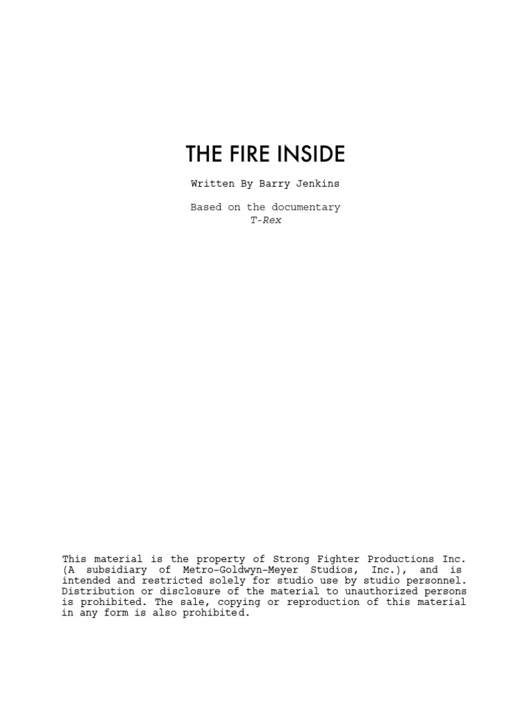 The Fire Inside | PDF