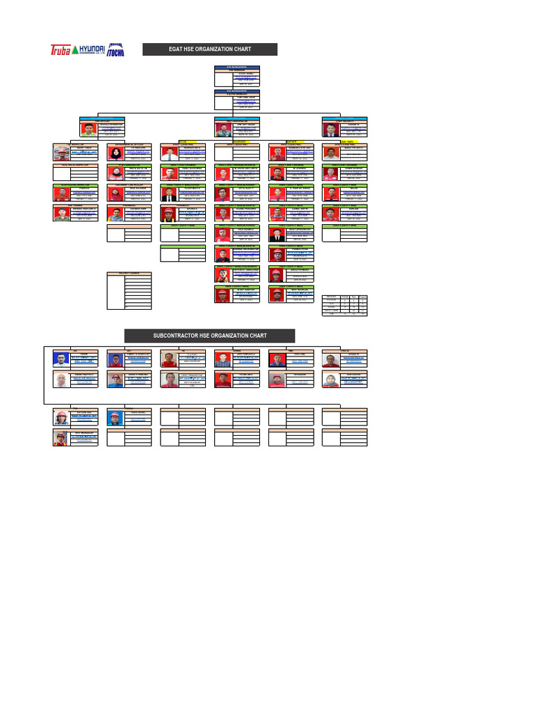 New HSE Organization Chart 2022 | PDF | Chess Theory | Chess Openings
