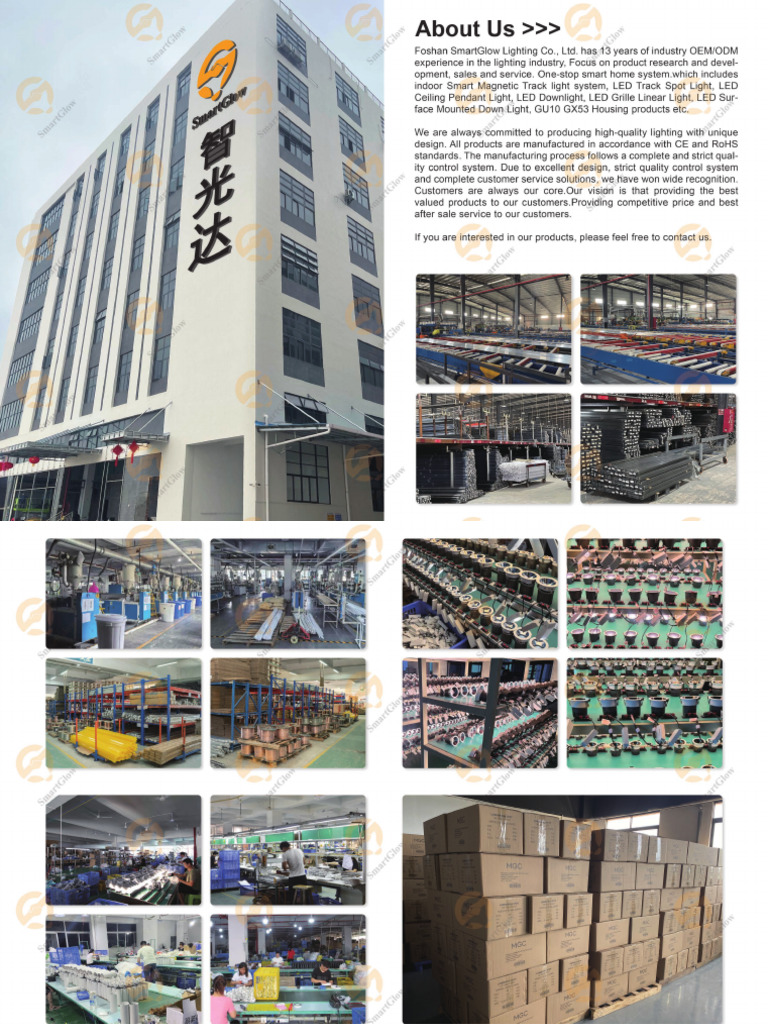 5.0 SG26A 48V Woven Belt Magnetic Track Light Catalog-1 | PDF