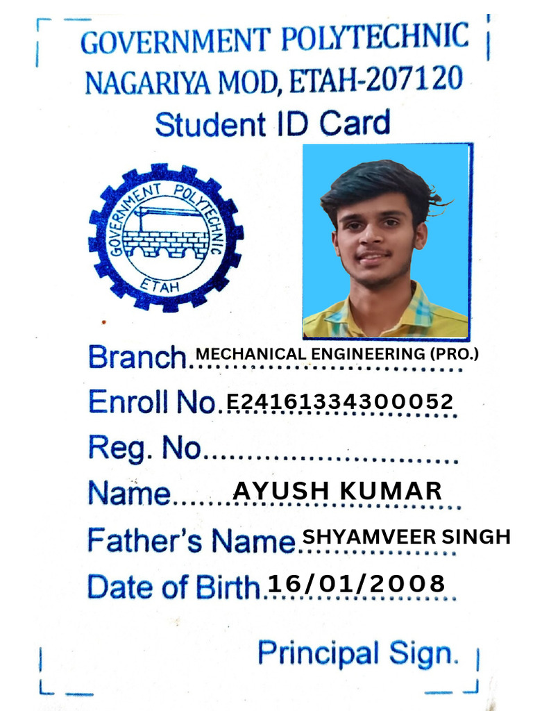 Mechanical Engineering Profile: Ayush Kumar | PDF