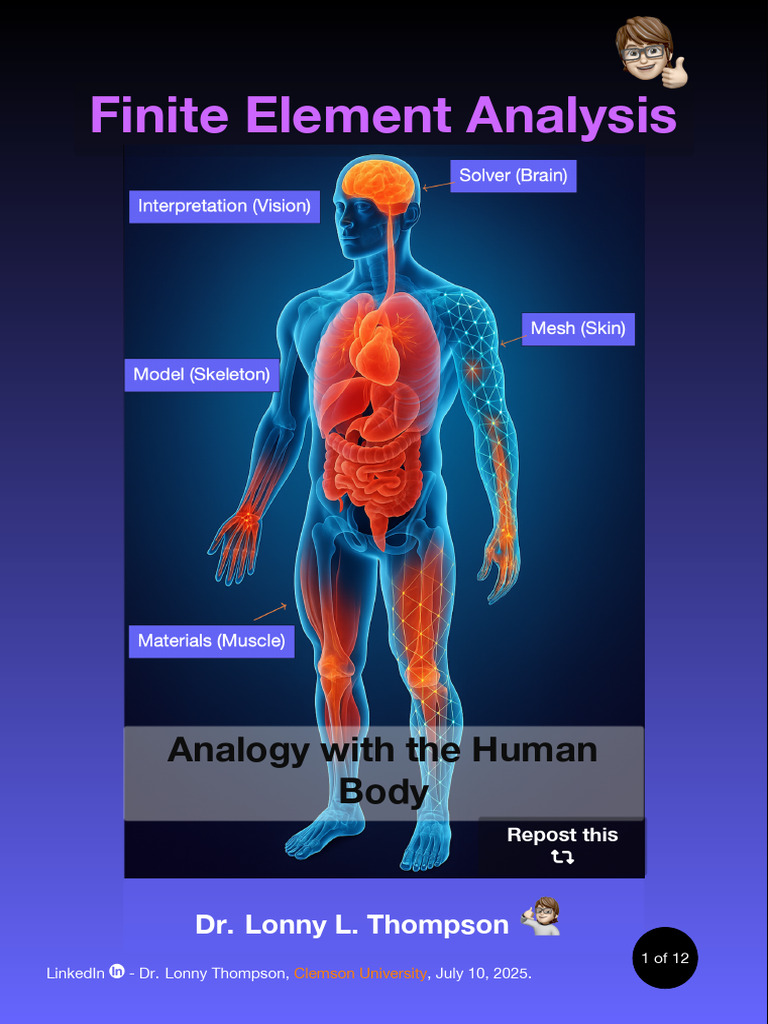 FEA Human Body Analogy | PDF | Finite Element Method | Nervous System