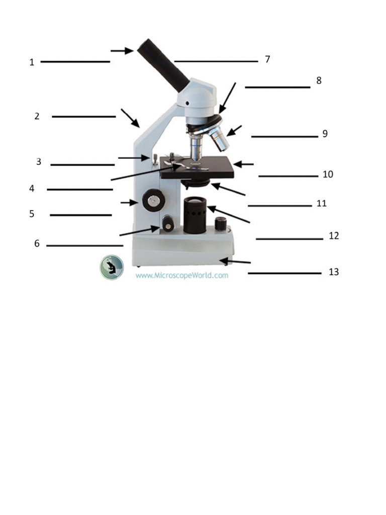 Microscope For Labeling | PDF