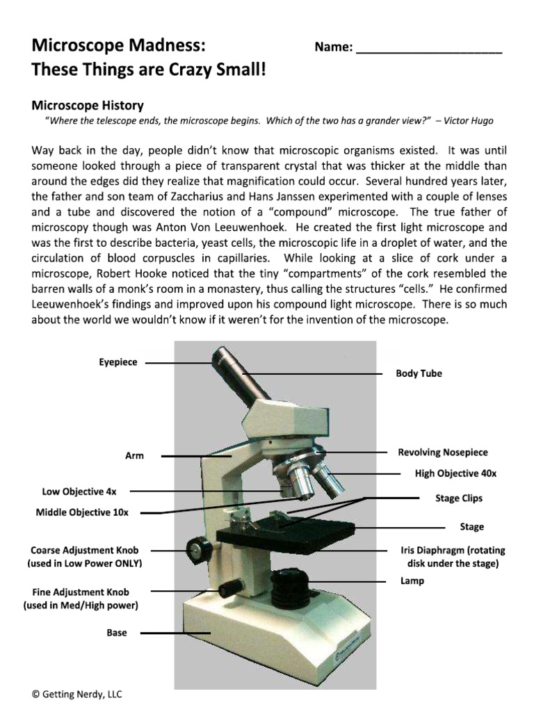 Microscope Madness | PDF