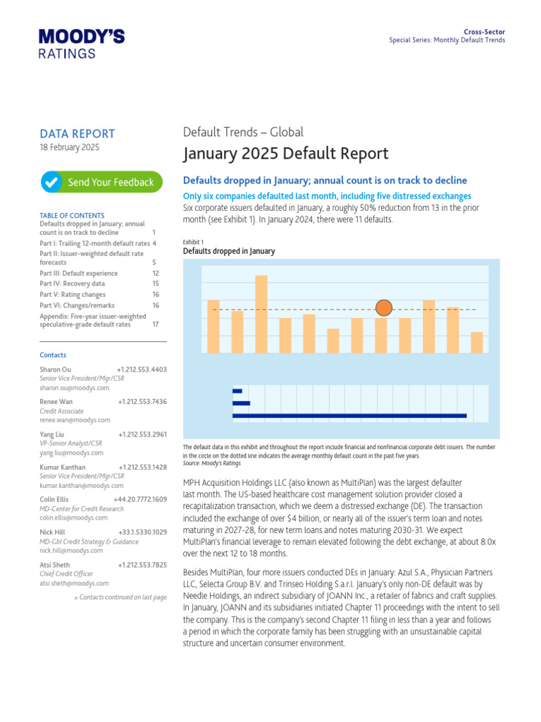 January 2025 Global Default Trends | PDF | Bond Credit Rating | Economies