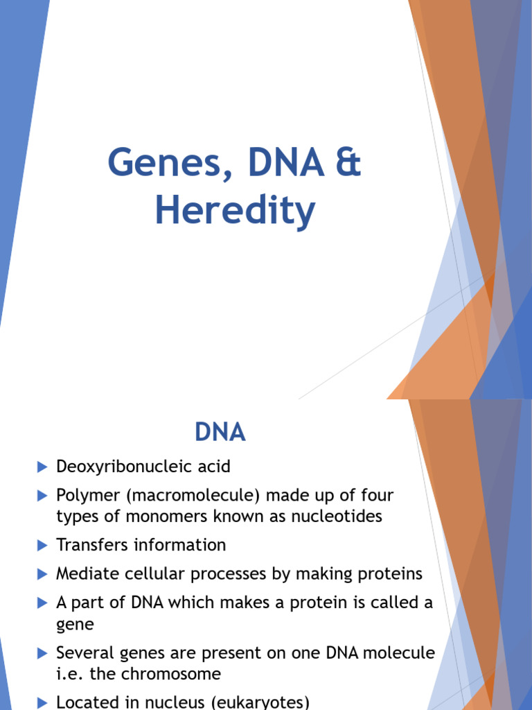 Gene, DNA and Heredity | PDF | Gene | Dna