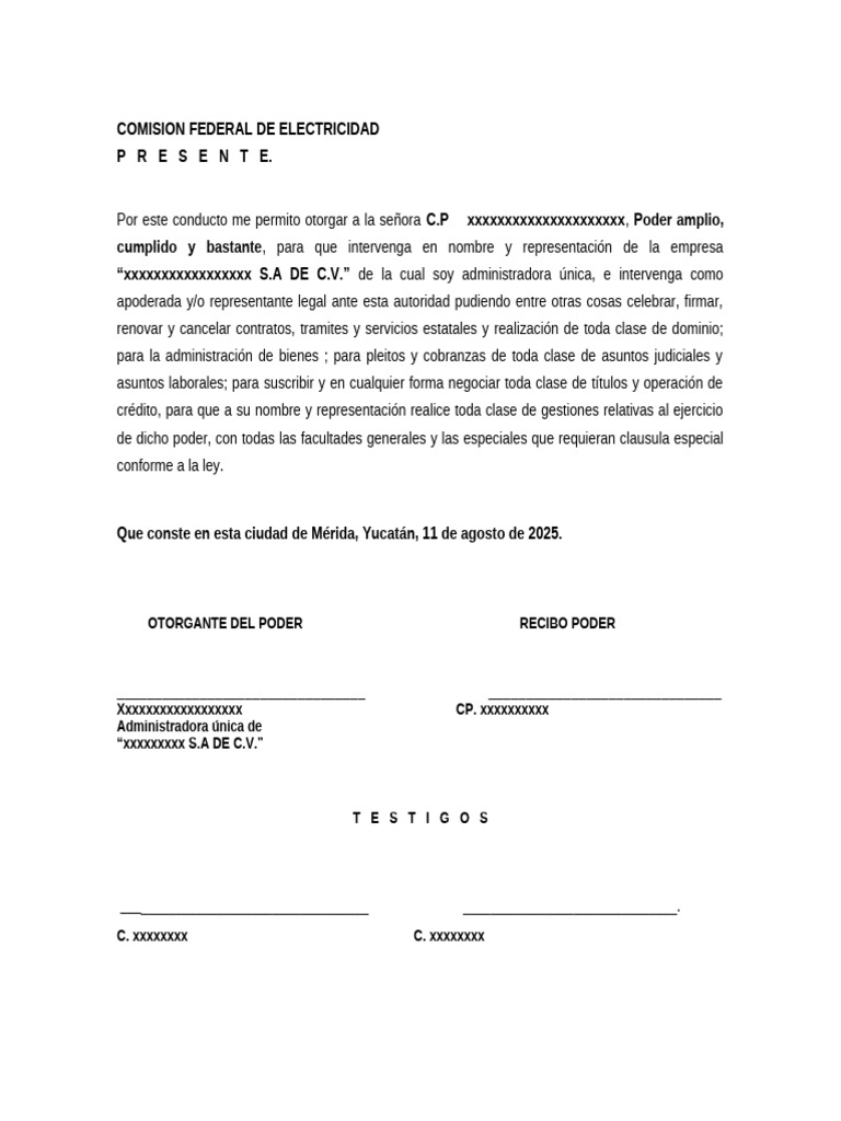 Poder Notarial para Representación Legal | PDF