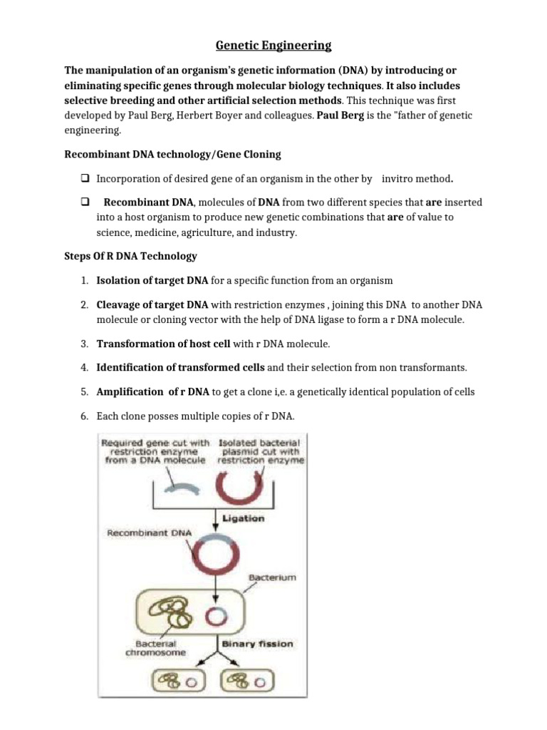 Genetic Engineering Enzymes and Vectors Notes New | PDF | Polymerase ...