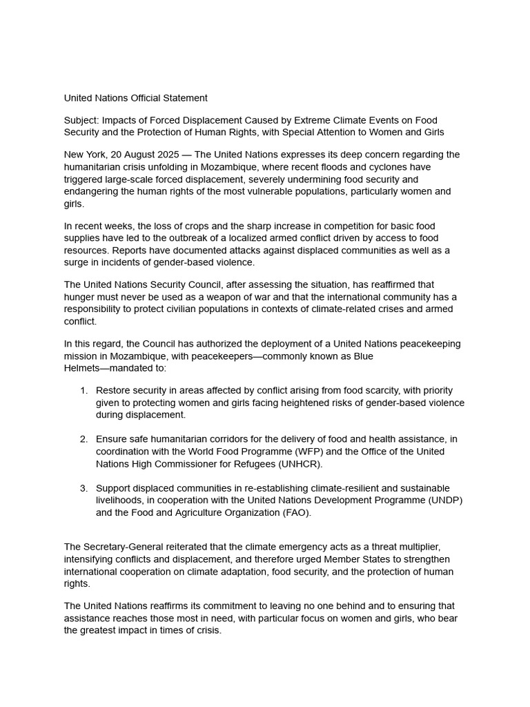 SC Crisis | PDF | Food Security | United Nations