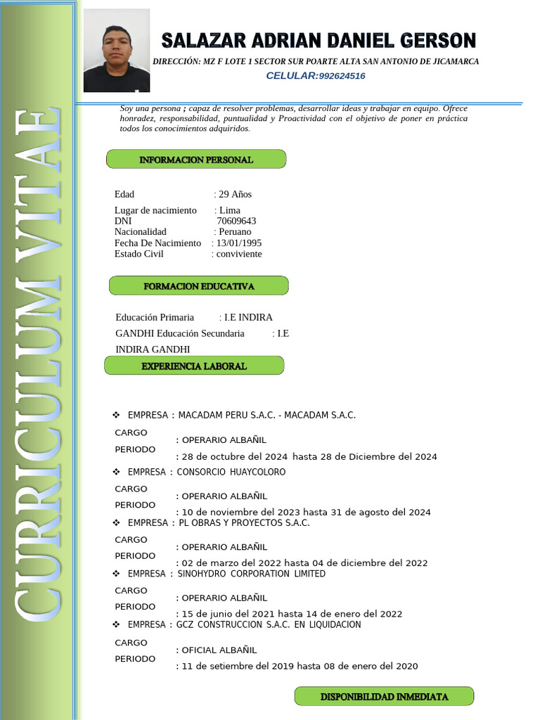 CV Daniel | PDF | Información | Derecho laboral