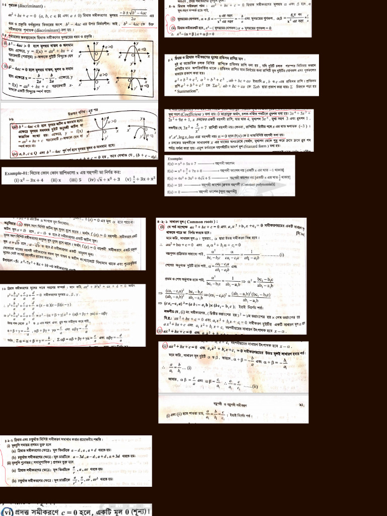 Polynomial Equation 1 | PDF