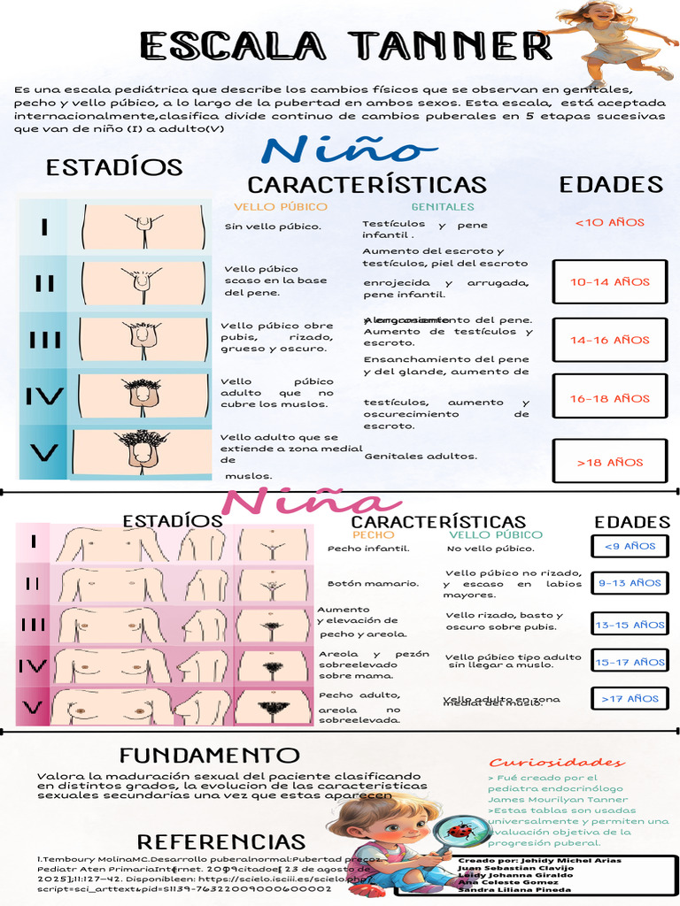 Escala Tanner Estadios De Pubertad Pdf Reproducción Humana