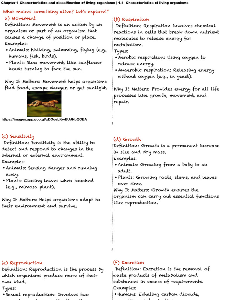 Chapter 1 Biology Igcse Edited | PDF | Nutrition | Diet & Nutrition
