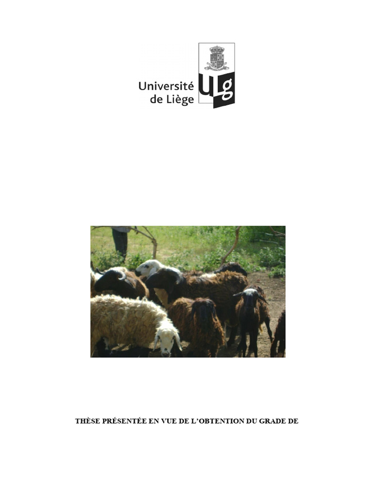 Conservation du mouton Koundoum au Niger | PDF | Mouton | Doctorat