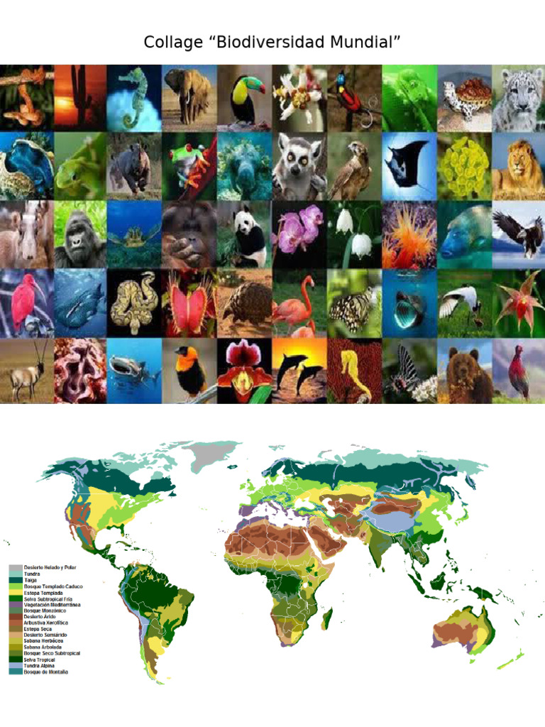 Collage "Biodiversidad Mundial" | PDF