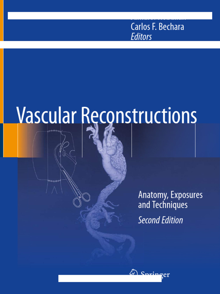 Vascular Anatomy and Reconstruction Guide | PDF | Interventional ...