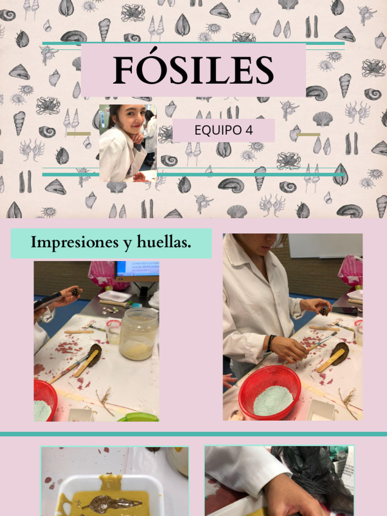 Presentación de Fósiles | PDF
