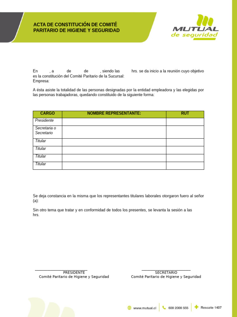Formato Acta Constitucion Cphs | PDF
