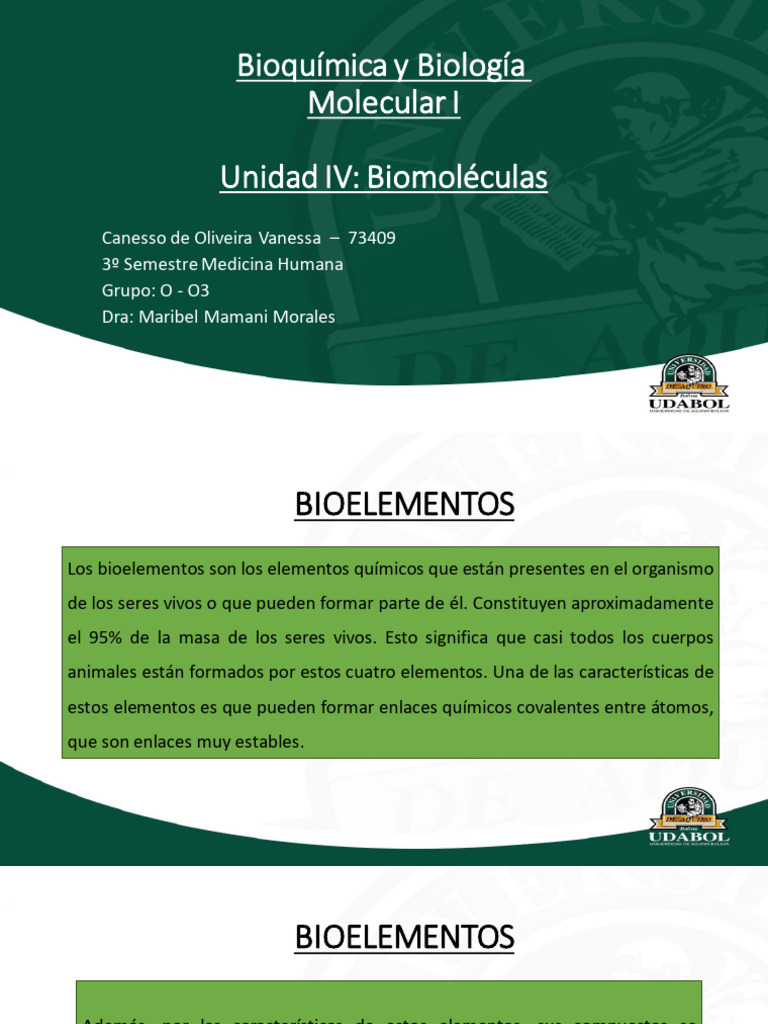 Bioquimica BIOELEMENTOS | PDF | Polisacárido | Rna