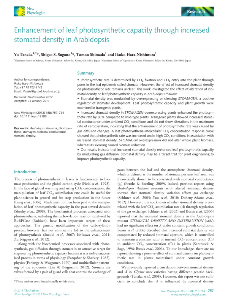 New Phytologist - 2013 - Tanaka - Enhancement of Leaf Photosynthetic ...