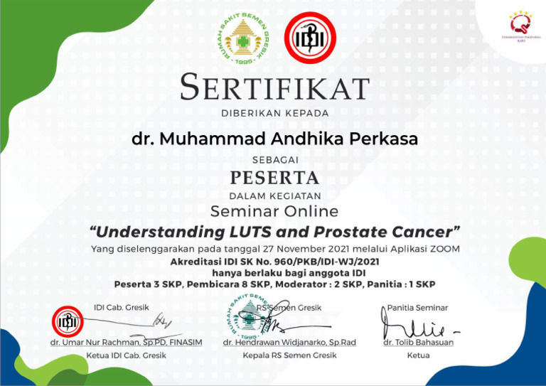 Understanding Luts and Prostate Cancer | PDF